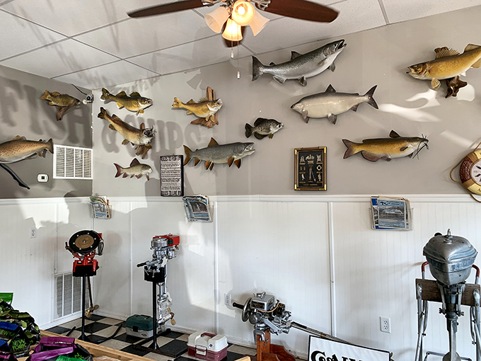 A gallery of Great Lakes finned residents watches over diners &ndash; these mounted fish celebrate the waters that provide King's stellar menu.