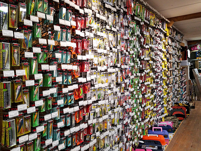 A hypnotic mosaic of fishing lures creates a wall of temptation that would make any fish &ndash; or fisherman &ndash; unable to resist.