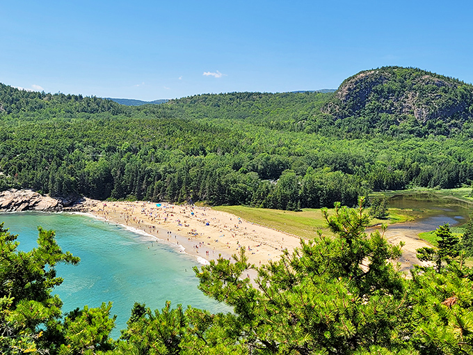 Great Head's rugged profile stands sentinel over the Atlantic, a geological masterpiece that needed no marketing department.