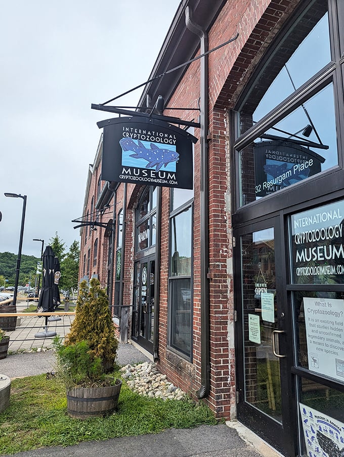 The International Cryptozoology Museum invites believers and skeptics alike to explore the shadowy world between science and folklore, one mysterious creature at a time.