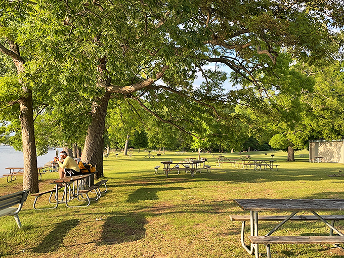 Sunset transforms ordinary picnic tables into front-row seats for nature's most spectacular daily performance.