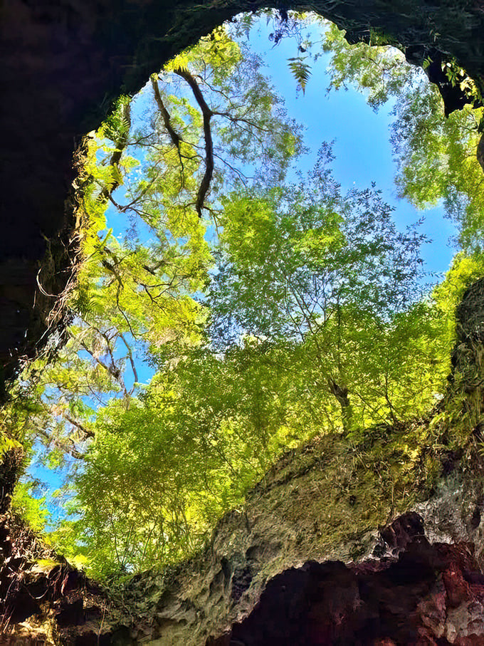 Florida's version of a cathedral ceiling. Looking up from inside reveals a perfect circle of blue sky framed by lush greenery.