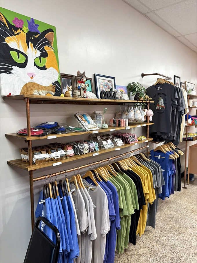 Cat-themed merchandise lines the shelves, offering everything from t-shirts to trinkets for the feline enthusiast in your life.
