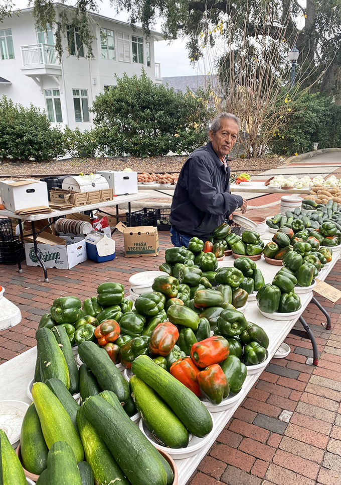Mount Dora Village Market's fresh produce makes grocery store vegetables look like sad, distant relatives who never call or visit.