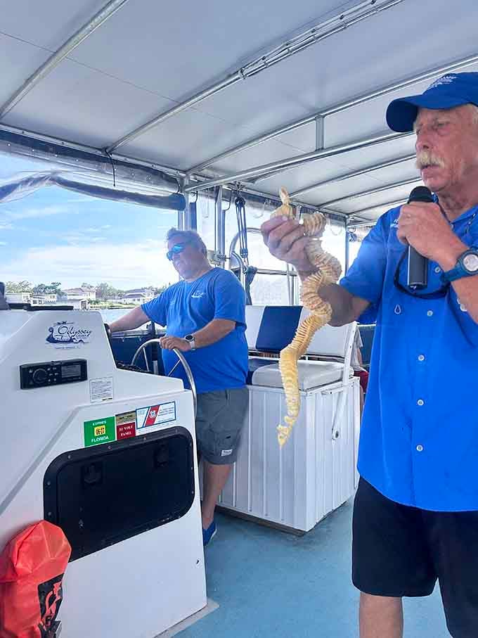 The crew's enthusiasm for marine life is genuine, and they'll happily explain what you're looking at without making you feel like you're back in school.