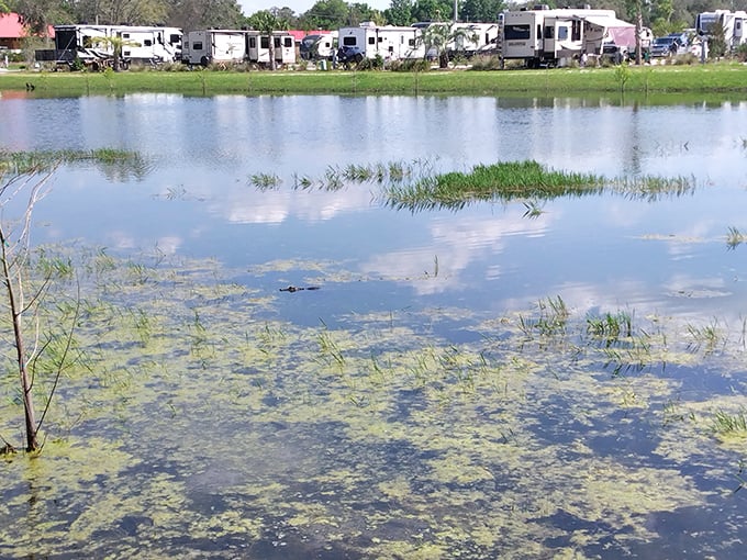 Reflections dance across the resort's serene pond, where fishing enthusiasts can try their luck while surrounded by natural beauty.