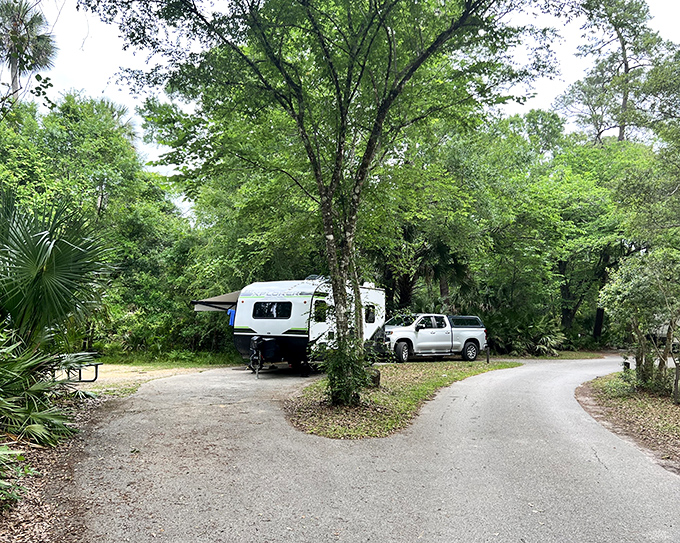 RV camping that doesn't feel like a parking lot. Here, you're not just parking &ndash; you're becoming part of the forest temporarily.