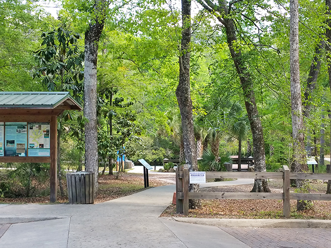 First impressions matter: The recreation area entrance promises adventures that Instagram filters couldn't possibly improve upon.