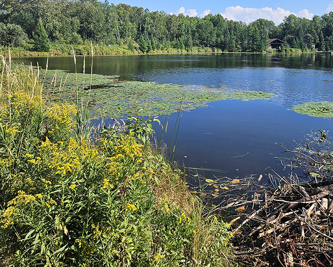 Wildflowers frame the lake view, because apparently this place wasn't already pretty enough without adding more color.