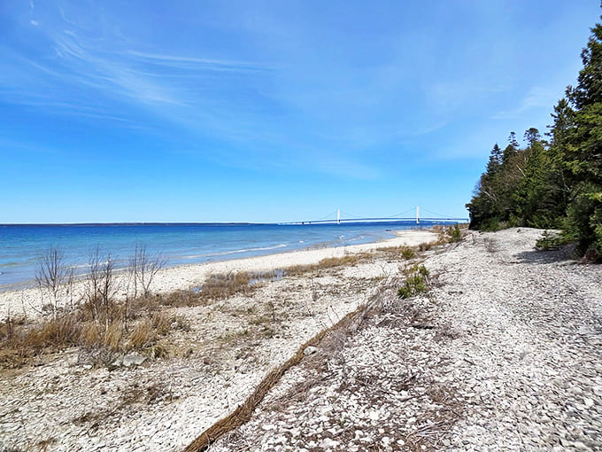The Headlands' pristine shoreline stretches toward the Mackinac Bridge, offering unobstructed views of the northern horizon where auroras dance.