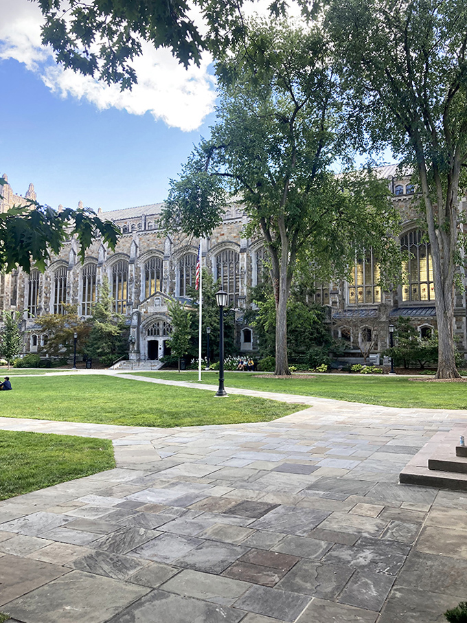 Where the grass is always greener, the stone always grayer, and students always wondering if they picked the right major.