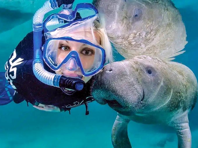 Making friends in unexpected places&mdash;an underwater connection that no social media platform can match.