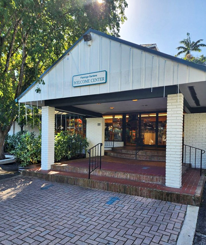The Welcome Center beckons visitors into a world where nature, not Mickey, rules the kingdom. Your tropical adventure begins with a single step inside.