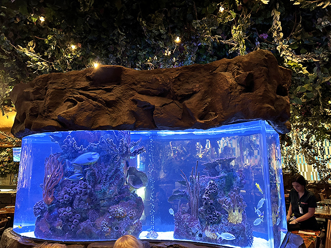 The massive aquarium brings actual living creatures into this fabricated ecosystem &ndash; fish apparently didn't get the memo about being mechanical.