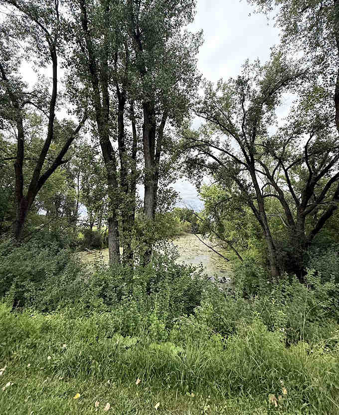 The lush greenery surrounding the bridge changes with the seasons, offering visitors a different experience with each return visit.