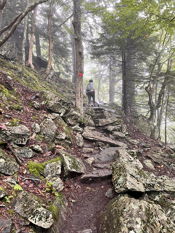 The hiking path challenges and rewards in equal measure, with each difficult step promising an even more breathtaking view ahead.