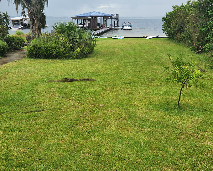 A meticulously maintained lawn leads the eye toward the lake, where a private dock promises aquatic adventures.