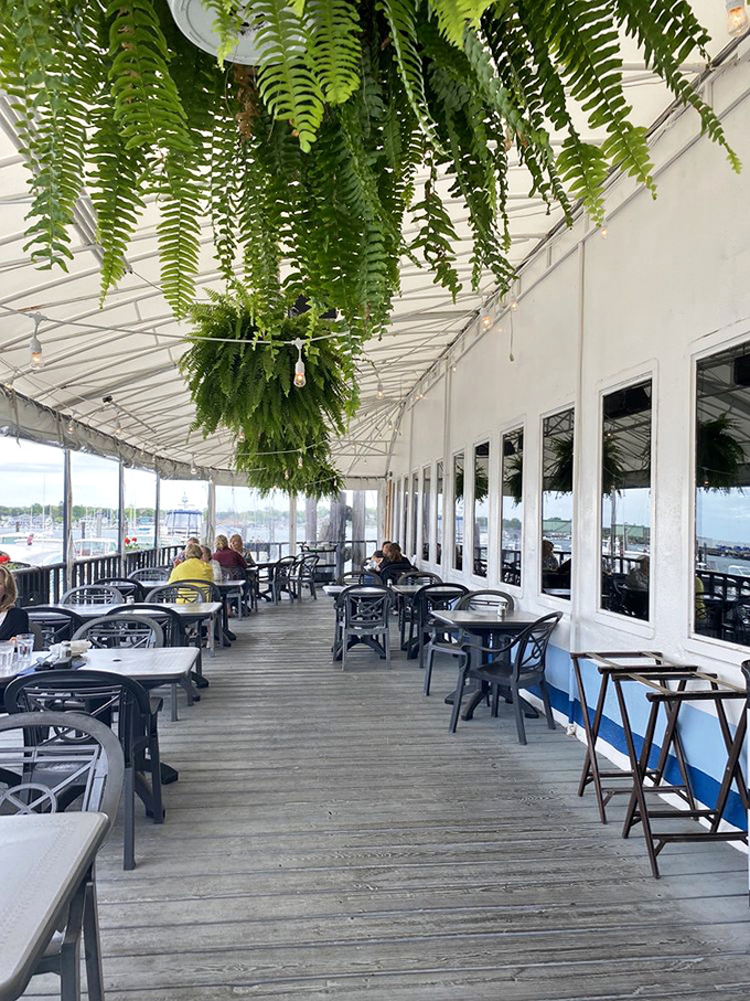 The outdoor deck offers Maine's perfect summer dining &ndash; hanging ferns sway in the breeze while harbor views compete with your plate for attention.