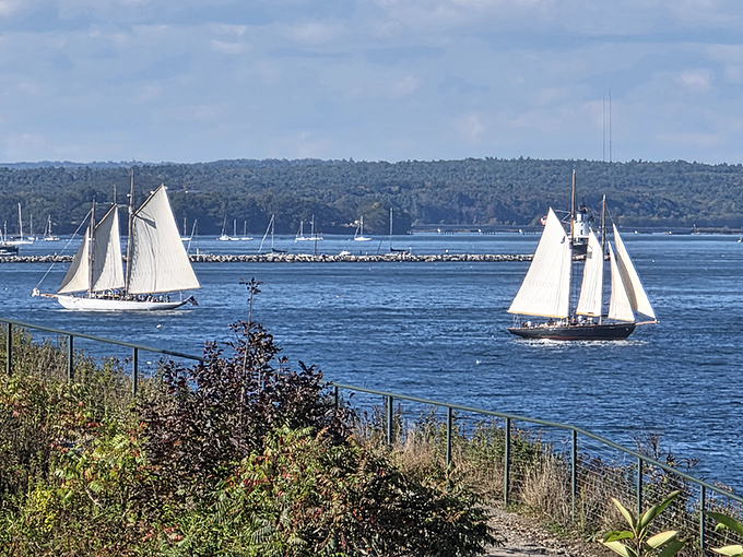 Majestic schooners with billowing white sails glide across Casco Bay &ndash; a scene straight from a maritime painting come to life.