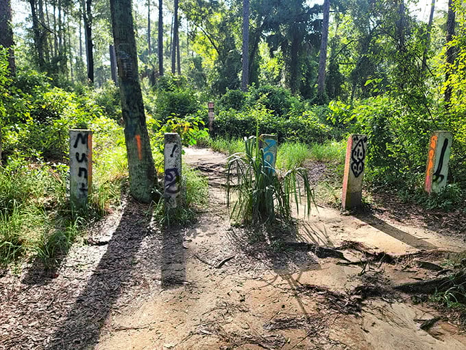 Gateway guardians: Handmade markers stand sentinel at a trail junction, their weathered surfaces bearing cryptic directional symbols.