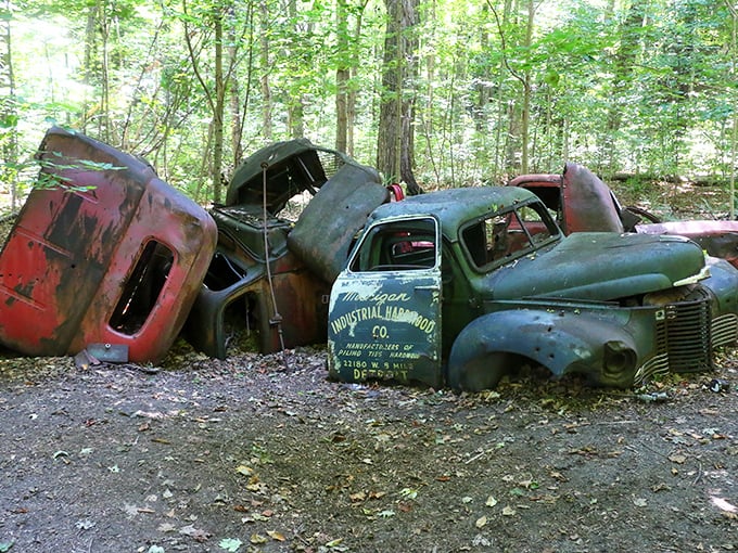 Detroit's finest, now returning to the earth &ndash; mechanical dinosaurs slowly surrendering to nature's patient reclamation project.