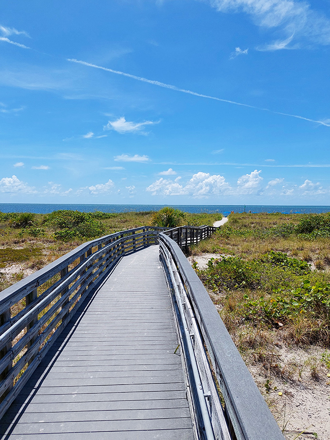 The winding pathway through coastal vegetation offers glimpses of what early lighthouse keepers saw when Florida was still wild frontier.
