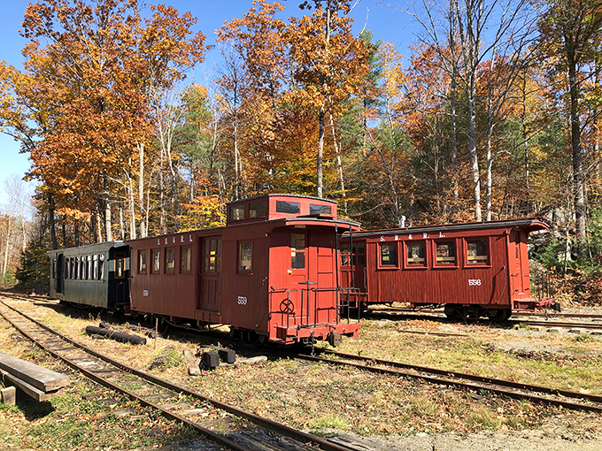 These lovingly preserved cabooses stand as sentinels of railroad history, their vibrant red paint a bold statement against the backdrop of Maine's forests.