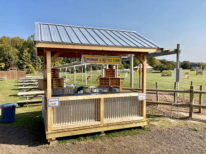 The concession stand serves simple treats that taste better outdoors, proving that fresh air is the best seasoning for kettle corn and lemonade.