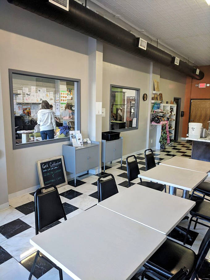The dining area's black and white checkered floor provides classic caf&eacute; vibes, while windows offer glimpses into the adjacent cat playground.