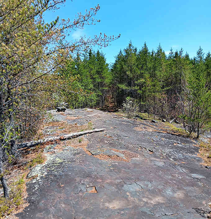 The trail opens to reveal exposed bedrock, telling the story of glacial movements that shaped Minnesota's distinctive northern landscape.