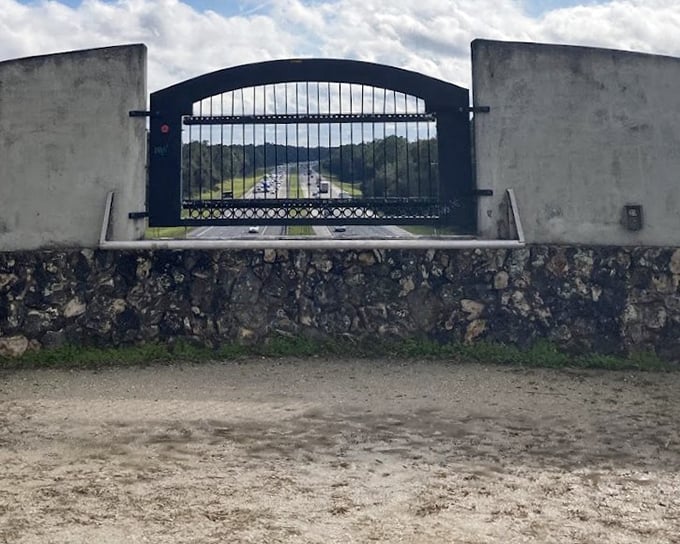 The bridge's grand view: From this vantage point, you can watch civilization speed by below while standing in tranquil wilderness.