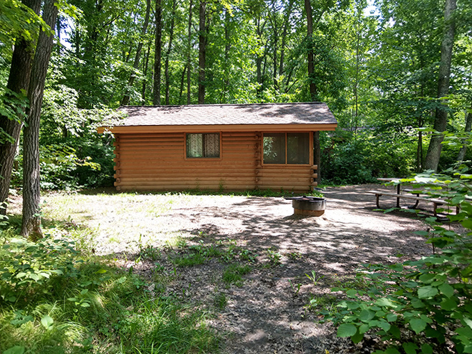 This rustic cabin whispers promises of woodland comfort &ndash; a perfect middle ground for those who love nature but also appreciate solid walls.