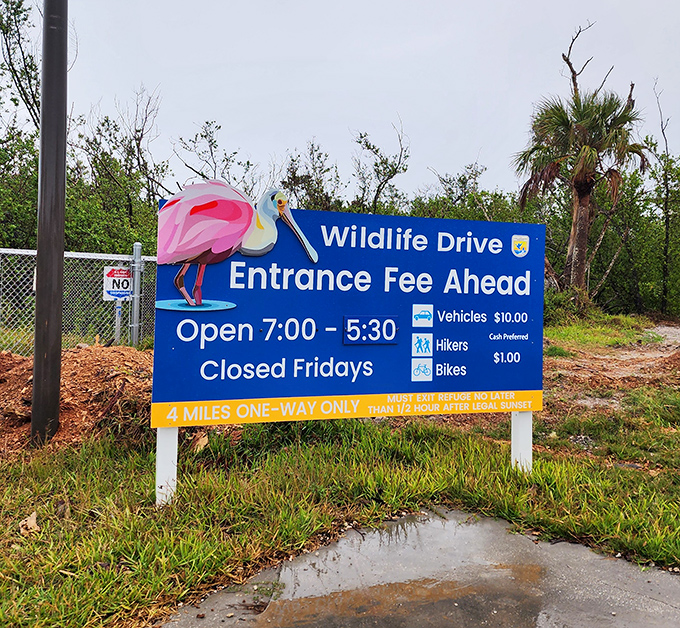 The Wildlife Drive hours posted clearly &ndash; because even paradise needs a schedule to keep the humans organized.
