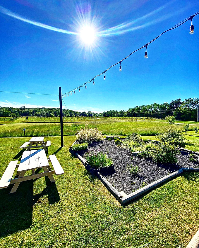 Sun-drenched outdoor seating with vineyard views creates the perfect backdrop for leisurely lunches and garden-to-glass cocktails.