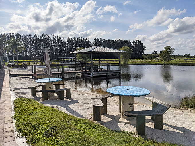 Lakeside seating with a view that rivals the wine &ndash; these peaceful spots invite you to slow down and savor both the scenery and what's in your glass.