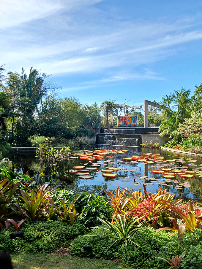 Just steps from your table, water lilies float on tranquil ponds – a reminder that at Fogg Café, nature isn't just nearby, it's part of the experience.
