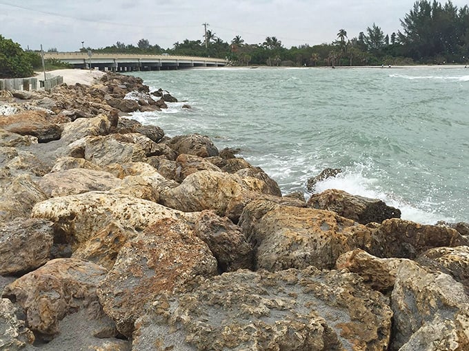 Rocky shoreline creates perfect tide pools – miniature marine worlds waiting for curious explorers to discover.