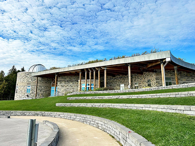 The park's observation area provides comfortable viewing spaces while preserving the darkness that makes The Headlands so special.