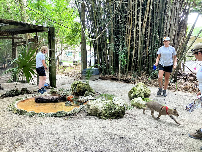 Staff members share their passion for wildlife conservation while furry ambassadors remind us why protecting natural habitats matters more than ever.