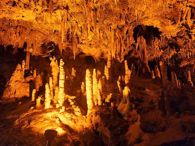 Stalagmites rise from the cave floor like Earth's own skyscrapers, built one mineral deposit at a time.