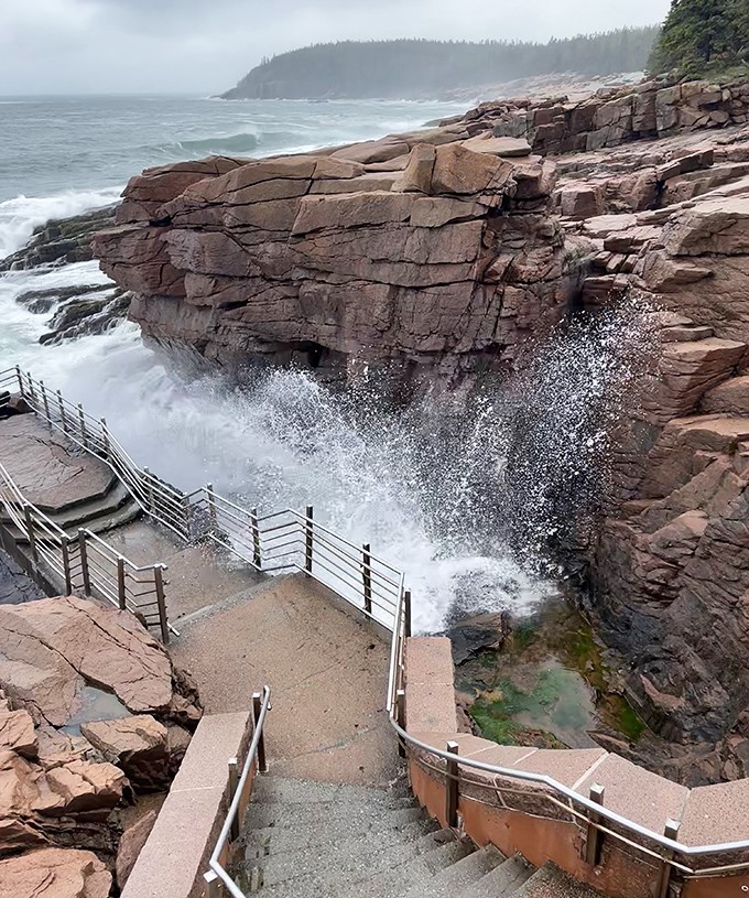 Thunder Hole captures nature's raw power – where the Atlantic Ocean squeezes into granite channels with all the subtlety of a cannon.