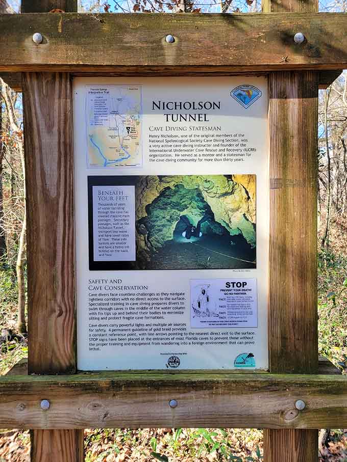 Informational displays educate visitors about the park's unique features, including its world-class cave diving opportunities and the legacy of explorer Wes Skiles.