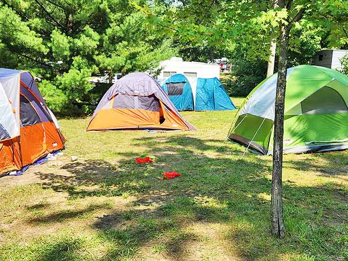 A colorful tent village creates a temporary neighborhood where strangers become friends over shared s'mores and campfire stories.