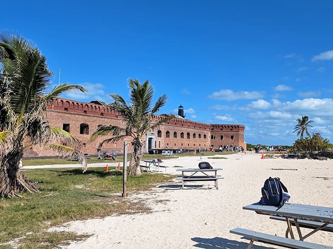 Beach benches positioned for optimal fort-gazing – the perfect spot to contemplate history while working on your Florida tan.