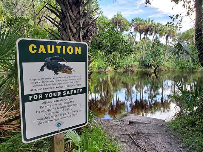 Alligator warning signs remind visitors that this is genuine wilderness where the locals have teeth and right-of-way.