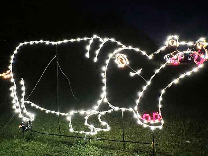 This happy hippo grins with the confidence of someone who knows they're absolutely nailing the whole holiday light display thing.