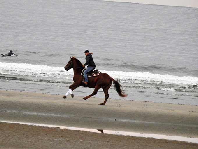 Freedom gallops along the shoreline as horse and rider experience Popham Beach at its most exhilarating pace.
