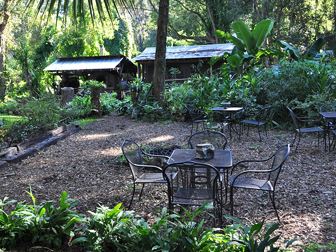 Dappled sunlight filters through Spanish moss onto outdoor tables, creating nature's perfect dining room for pastry enjoyment.