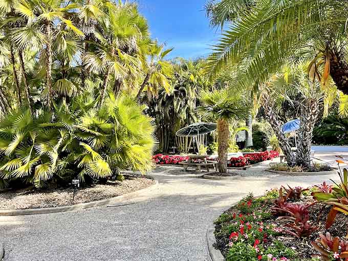 A gravel path winds through palm trees like a choose-your-own-adventure book, except every choice leads somewhere beautiful so you really can't go wrong here.