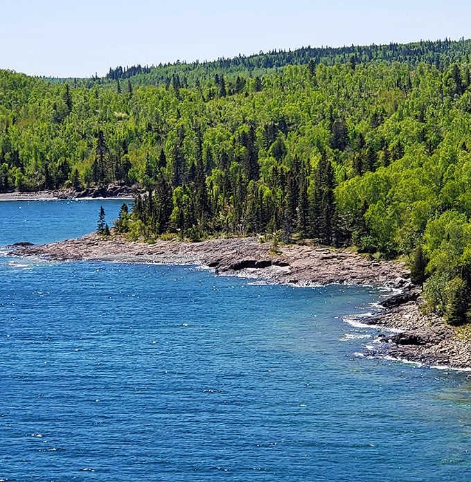 Lake Superior's pristine shoreline stretches into the distance, with dense northern forests creating a vibrant green border between blue waters and endless sky.